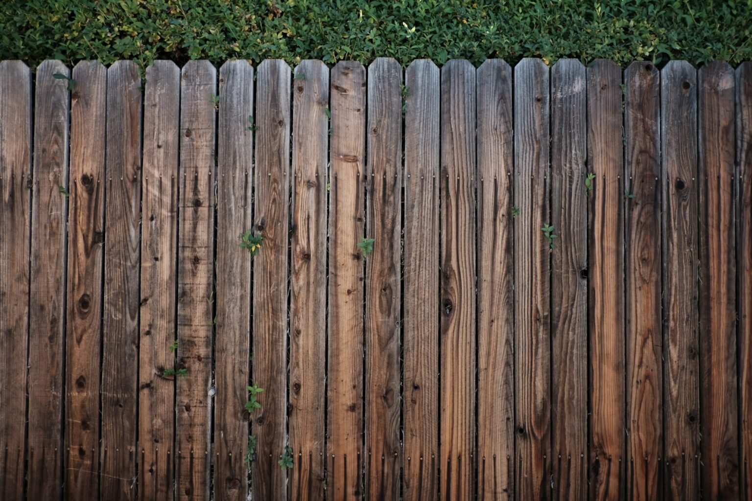 9 Timber Fence Styles: Choose Your Fave - Narangba Timbers